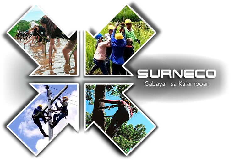 Surigao del Norte Electric Cooperative, Inc.