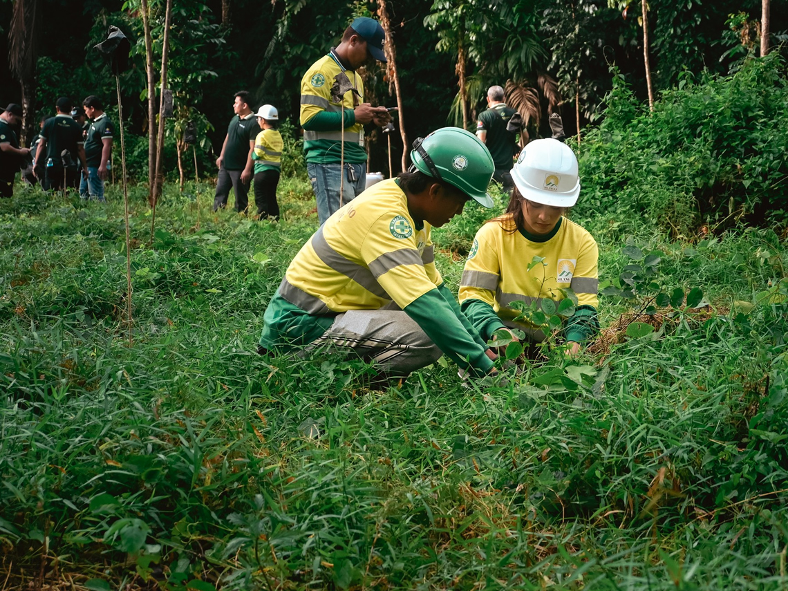 Surigao del Norte Electric Cooperative, Inc.
